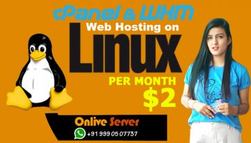 Cheap Linux VPS Server trusted platform for spacious RAM through Onlive Server
